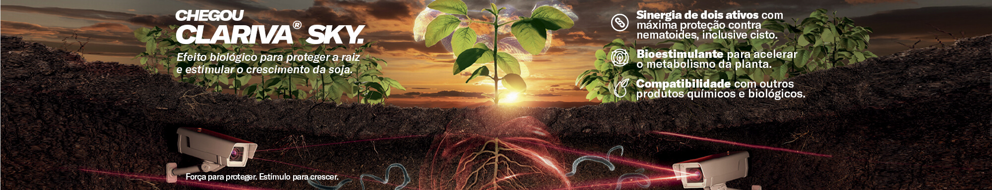 Tratamento de sementes Clariva® Sky | Portal Syngenta