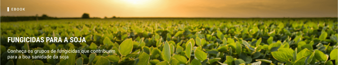 Fungicida Elatus | Portal Syngenta