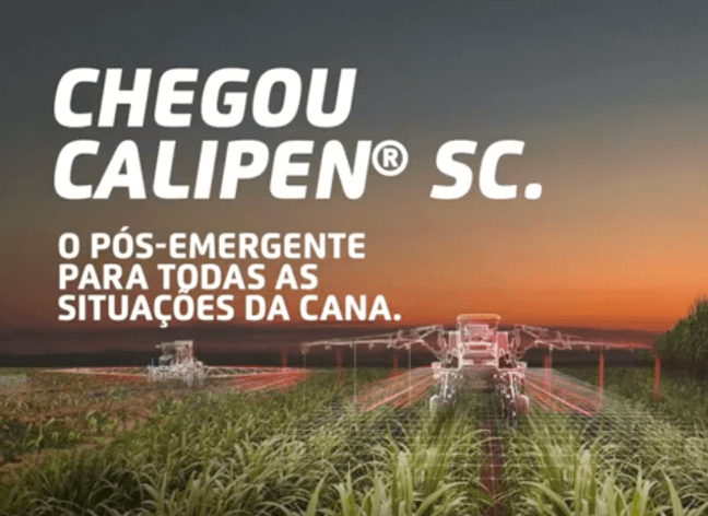 Vídeos | Portal Syngenta
